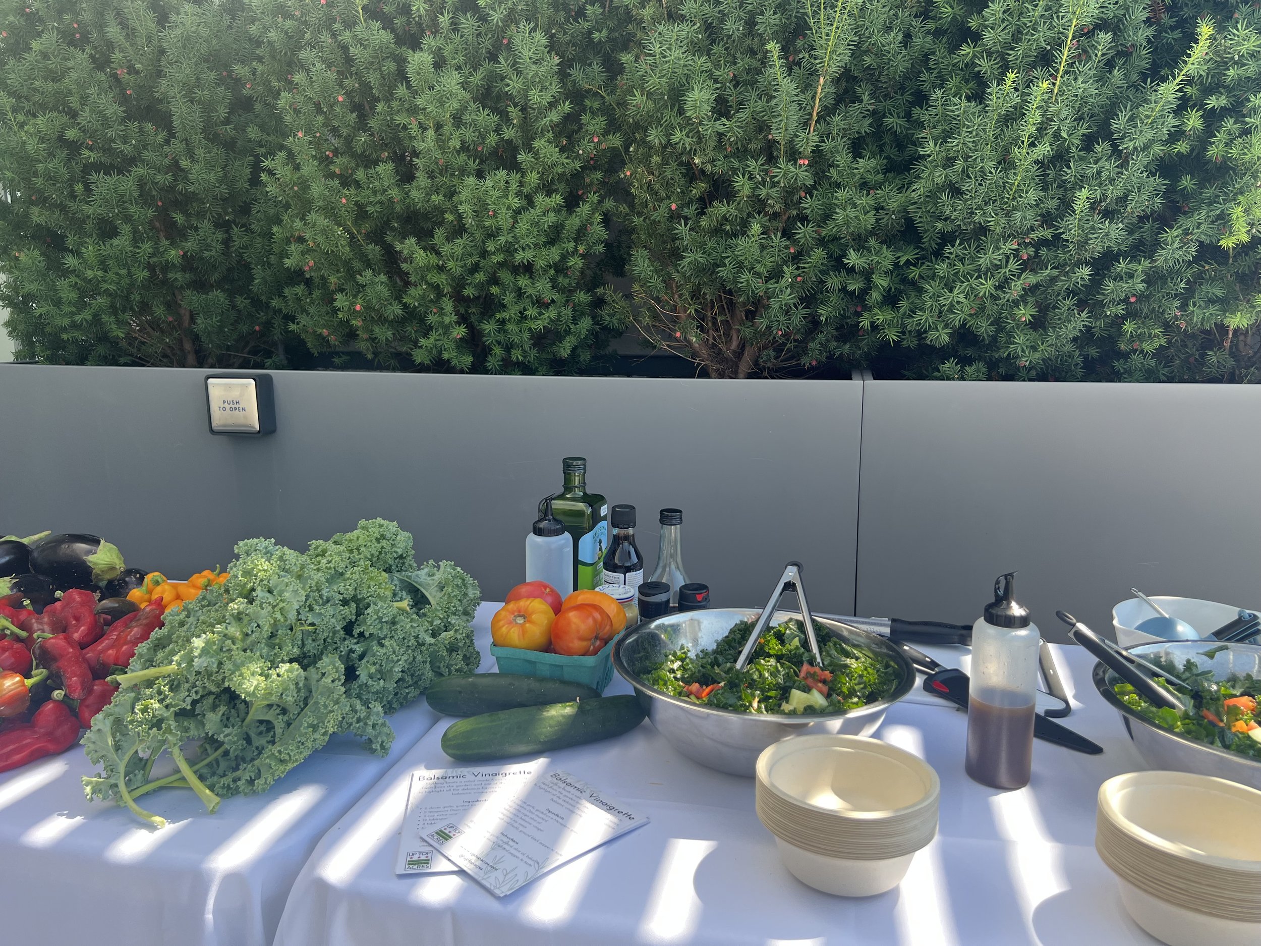 The Farm at Halley Rise — Up Top Acres