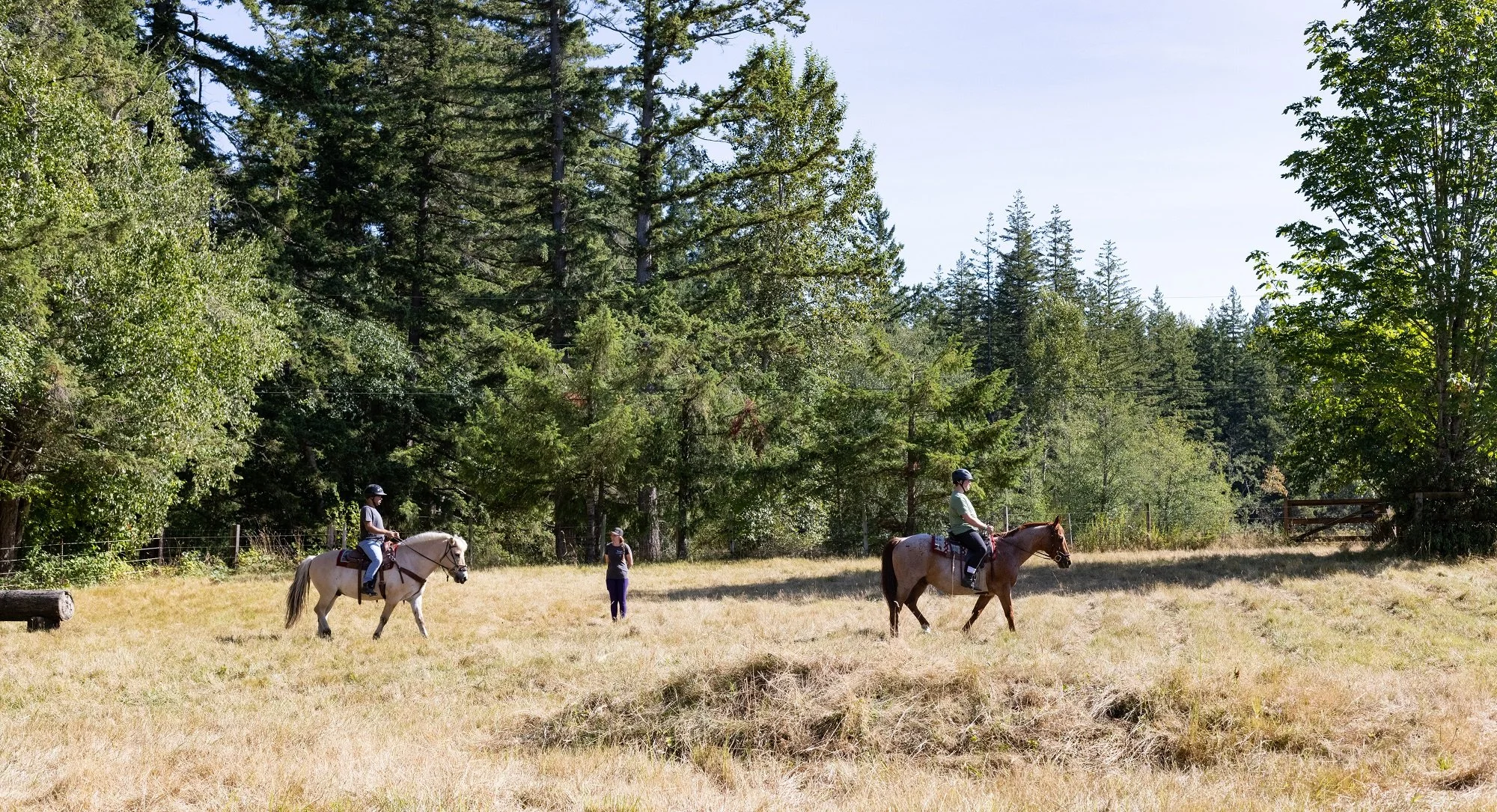 NorthWest Therapeutic Riding Center