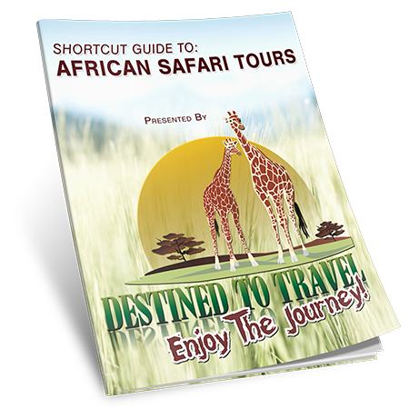 African Safari - Destined To Travel