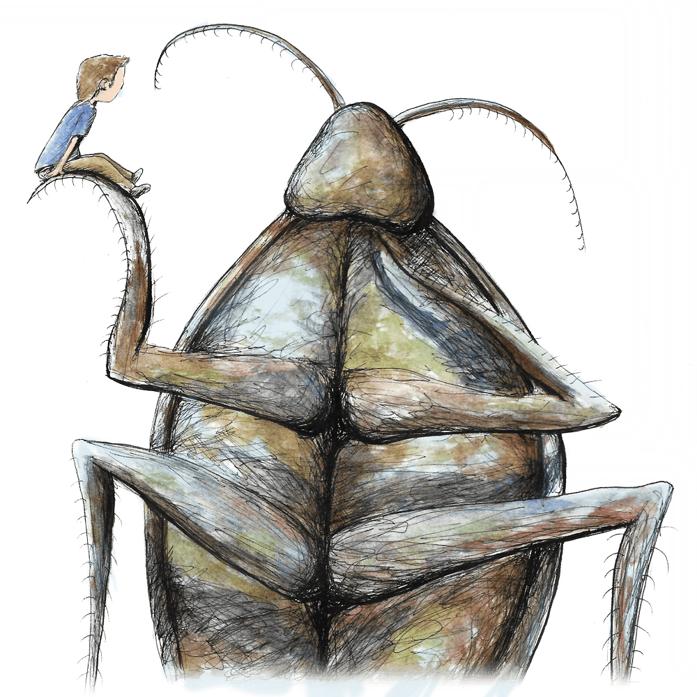 About 1 — How To Hold A Cockroach