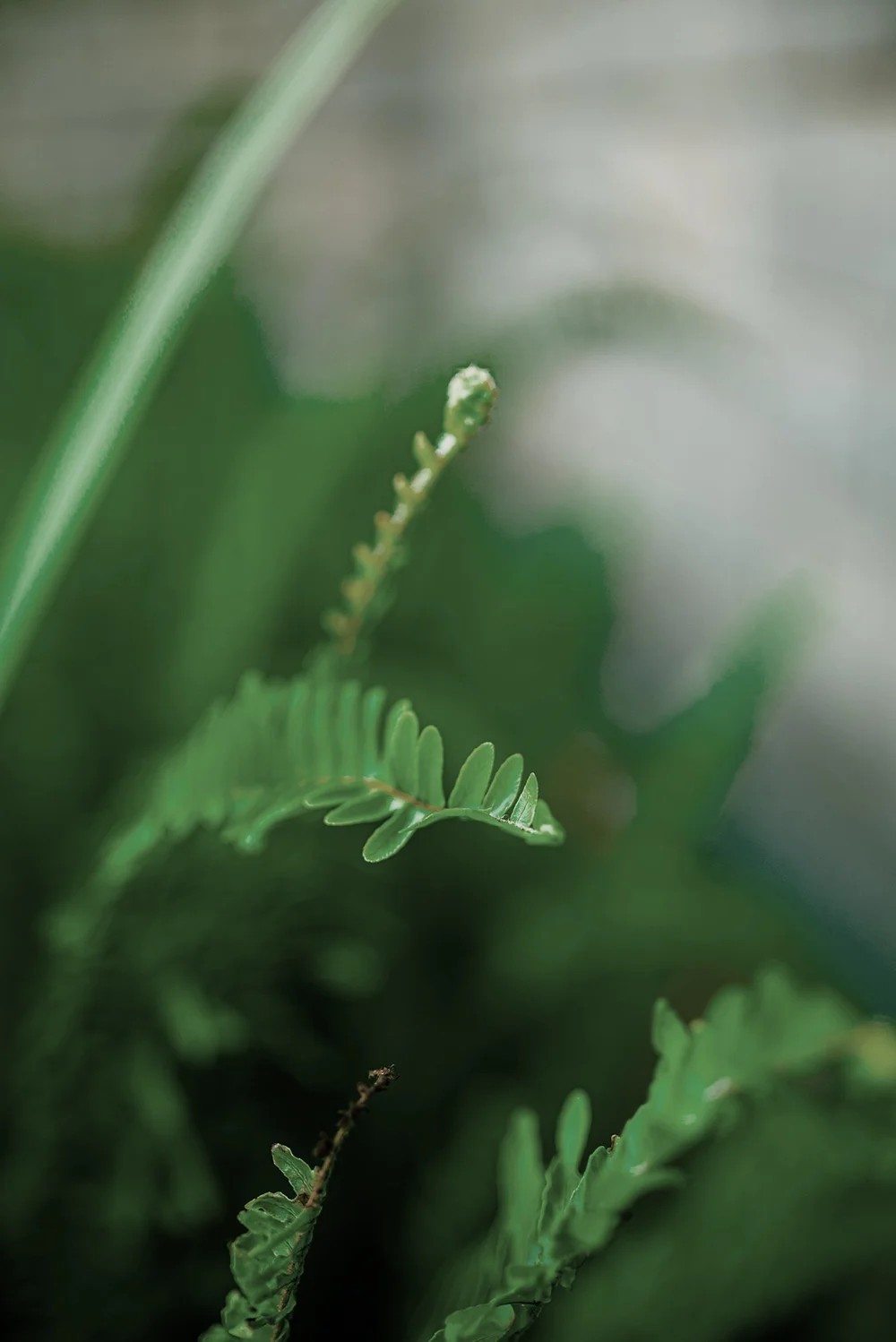 Our Story — Kutoa Project