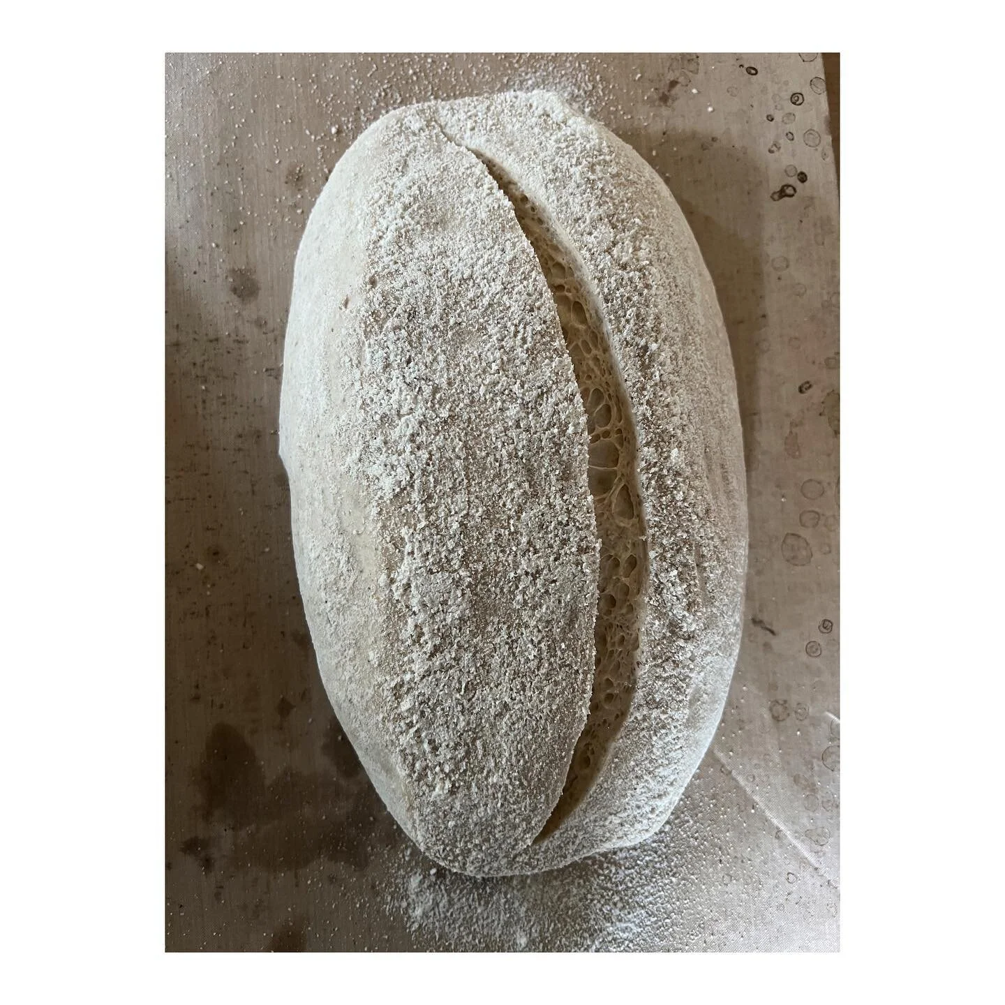 PENNYLOAF BREAD CO.