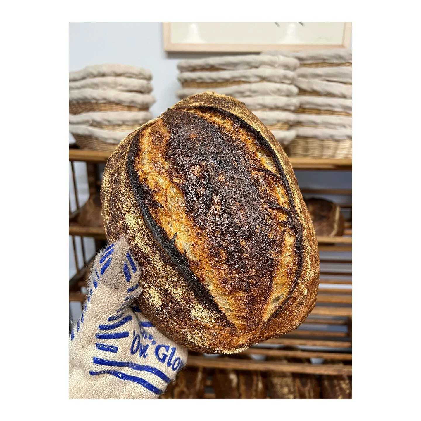 PENNYLOAF BREAD CO.