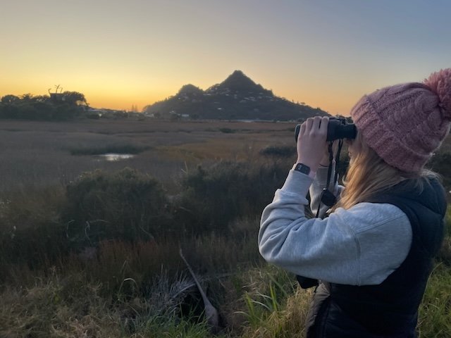 Regionwide Surveys | Matuku-Hūrepo | Australasian Bittern — Predator ...