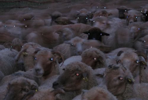 Style Roots — Body & Style