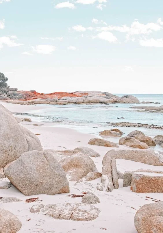 Style Roots — Body & Style