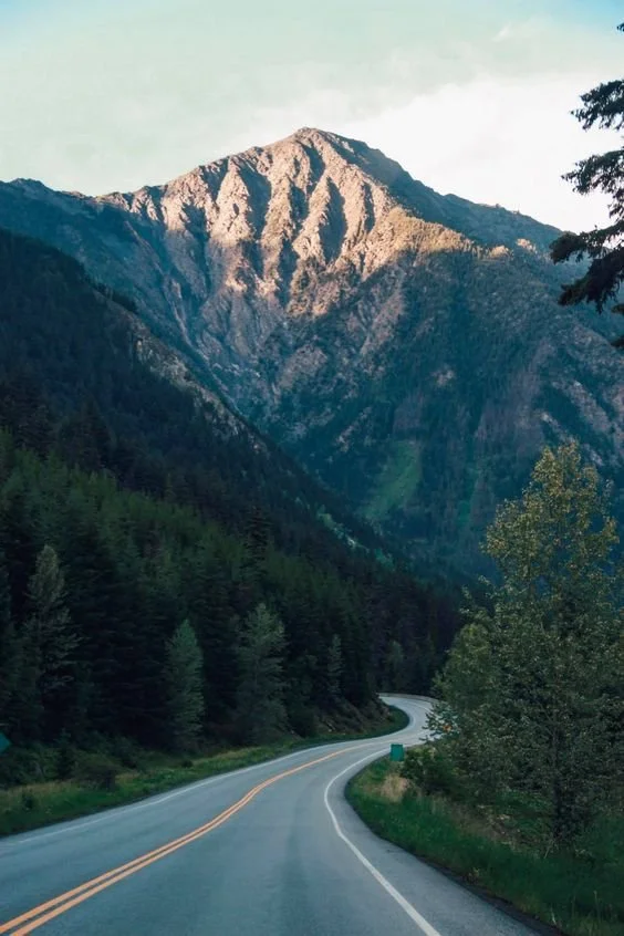 Style Roots — Body & Style