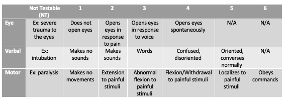 Common ICU Scores & Metrics — In the ICU with Jessie Franco