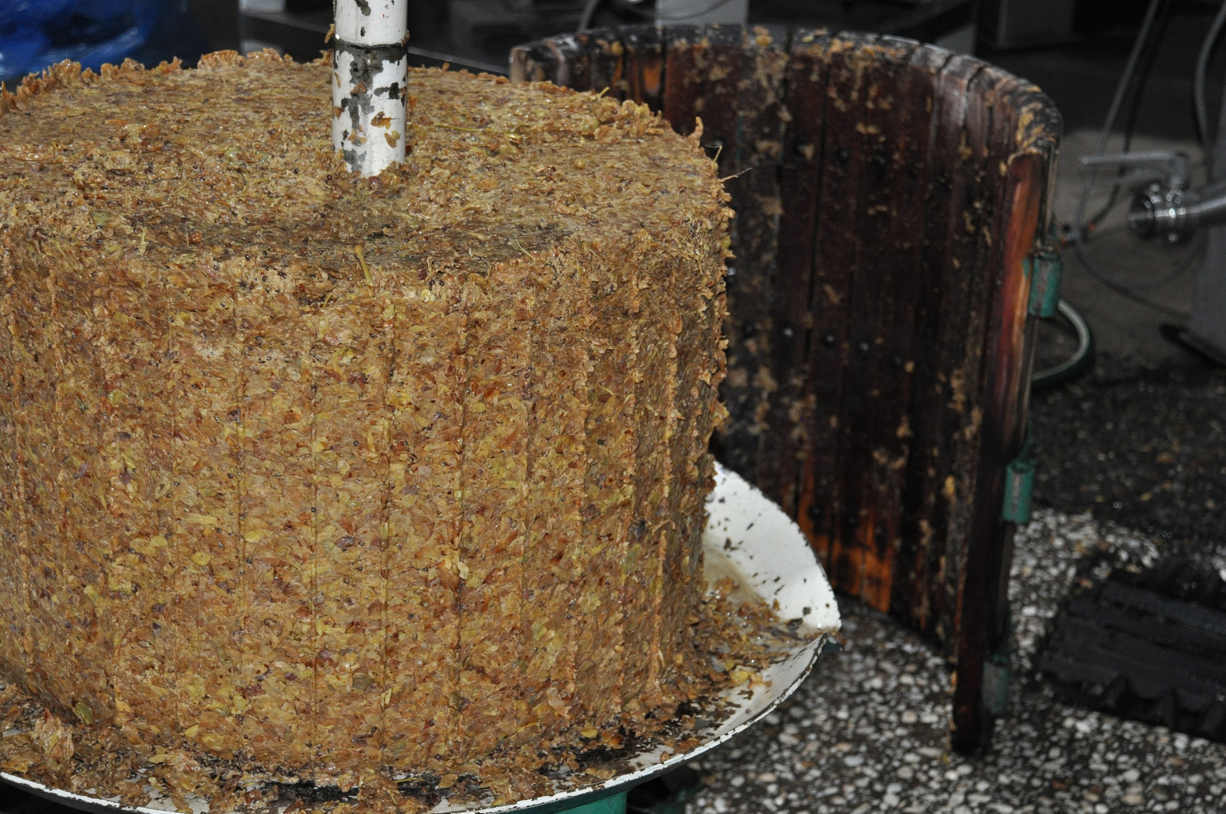 Our Story — Storm King Wine Co