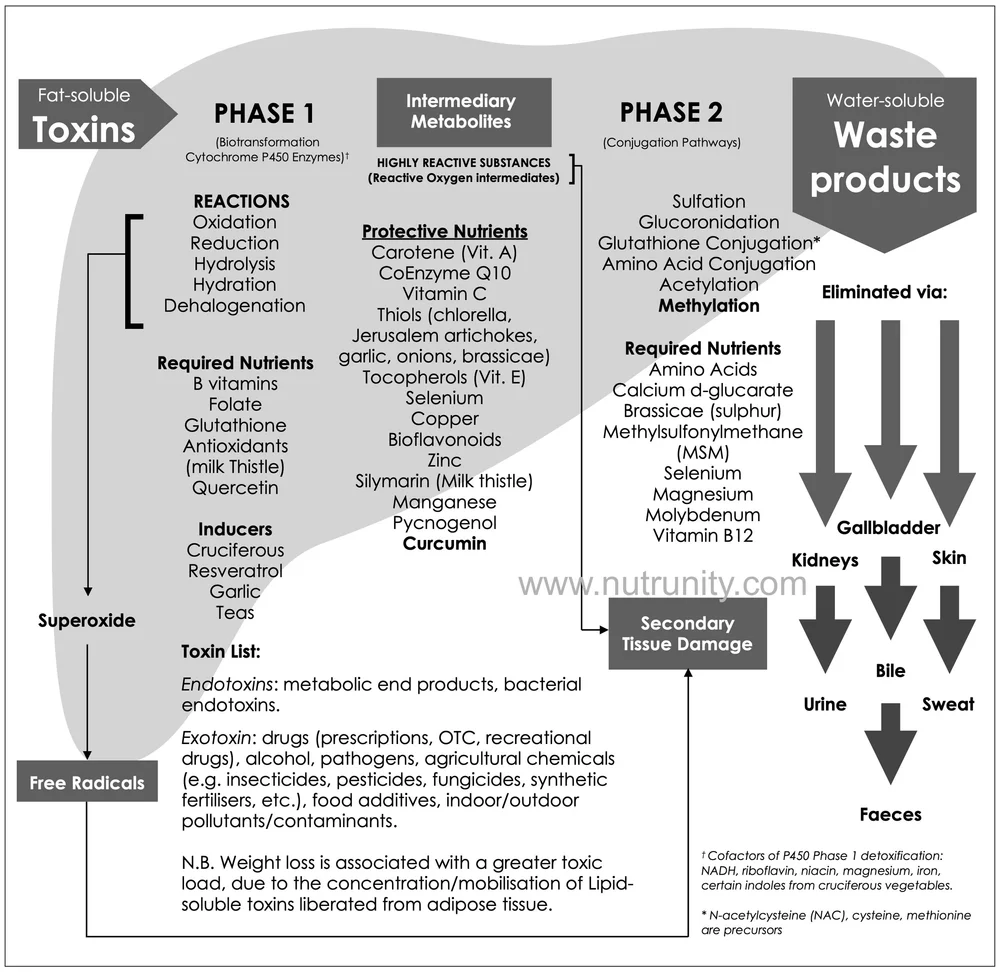 Magnesium and Heavy Metal Detox: Cleansing Your Body Naturally — Nutrunity UK ⎪Naturopathic ...