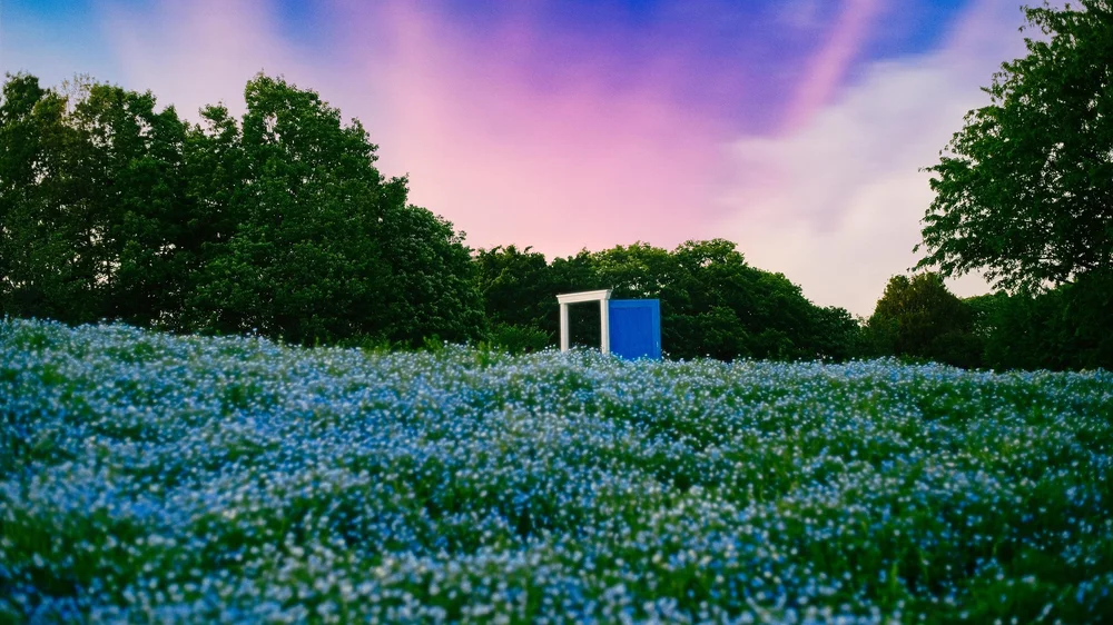 UNSEEN Inc. — See the UNSEEN: Video Editor, Federico Capogreco