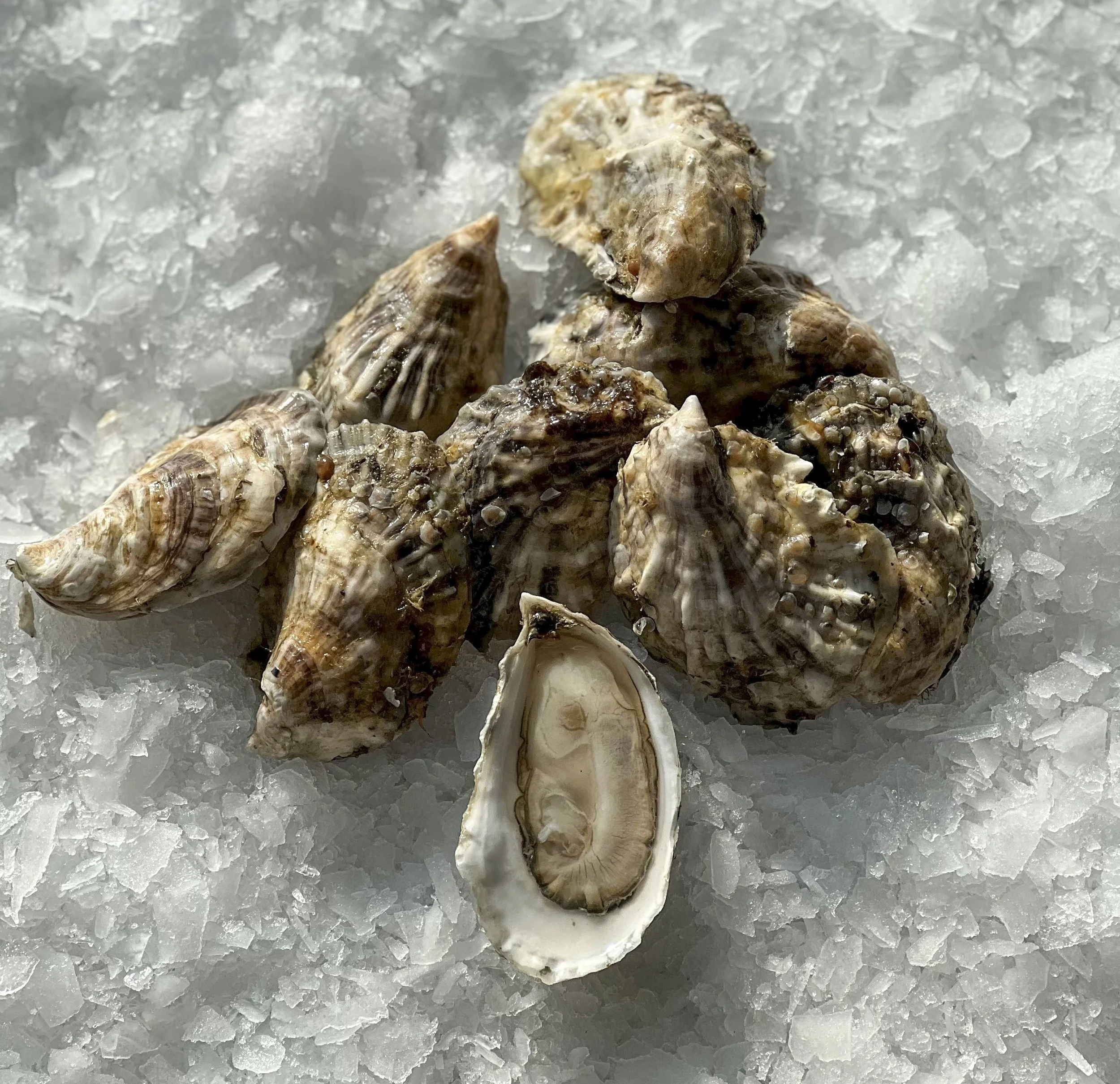 Jonah Cocktail Crab Claws — Pangea Shellfish