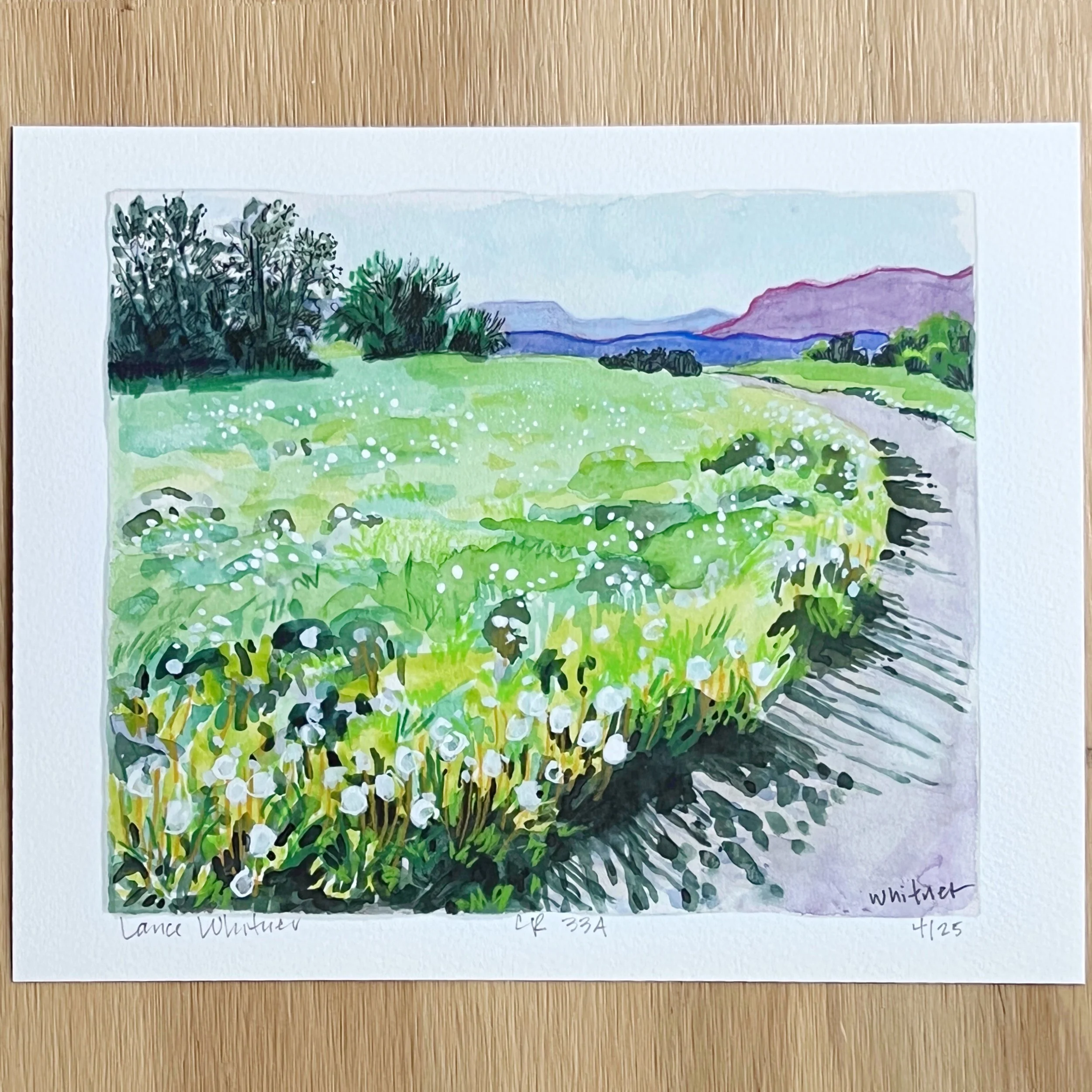 Shop — Lance Whitner Art