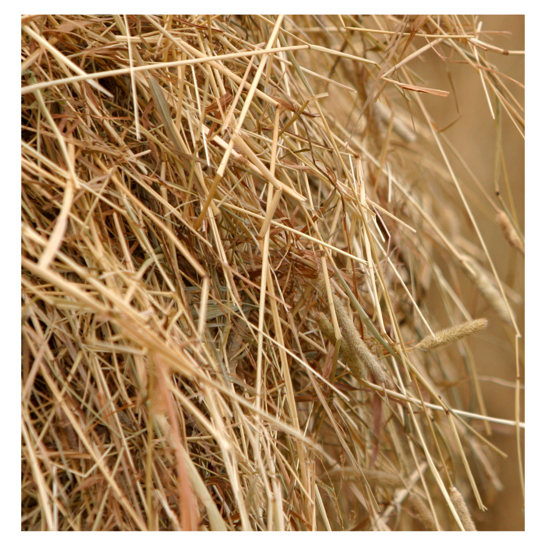 HQF HAY — Hillandale Quality Feeds