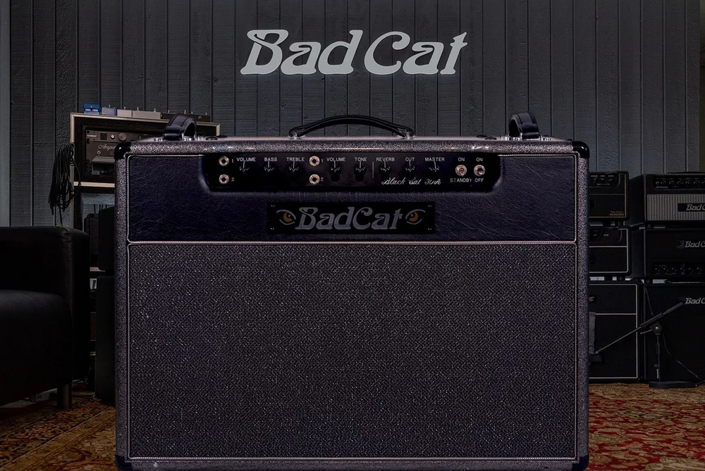 Bad Cat Official — Alter Amp Works