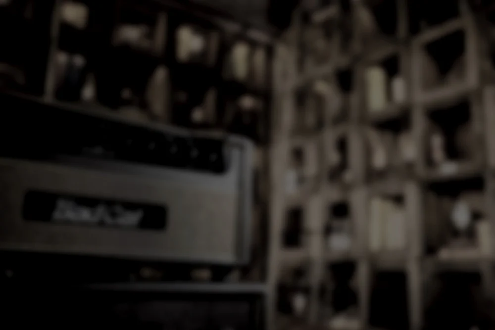 Bad Cat Official — Alter Amp Works