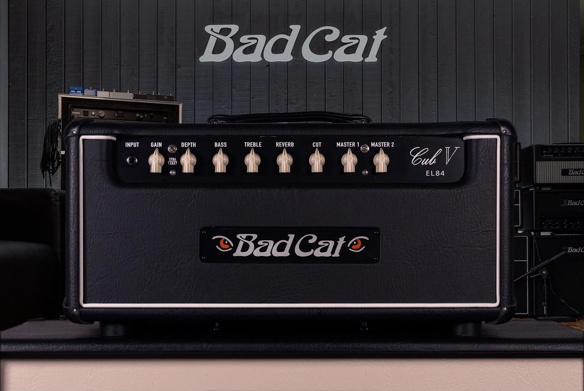 Bad Cat Official — Alter Amp Works