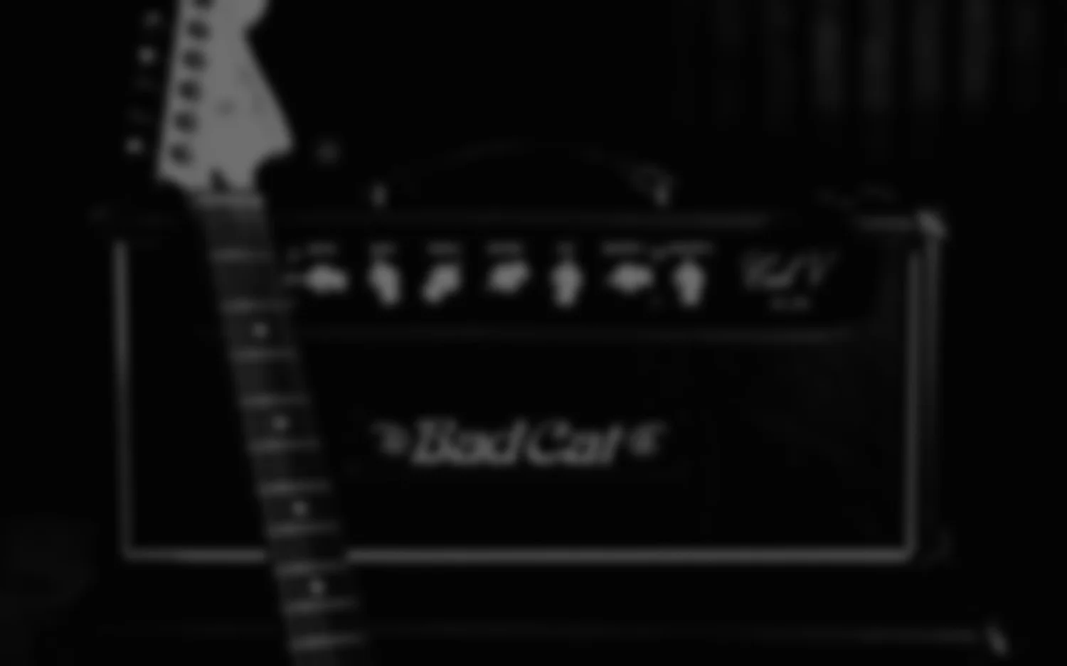 Bad Cat Official — Alter Amp Works
