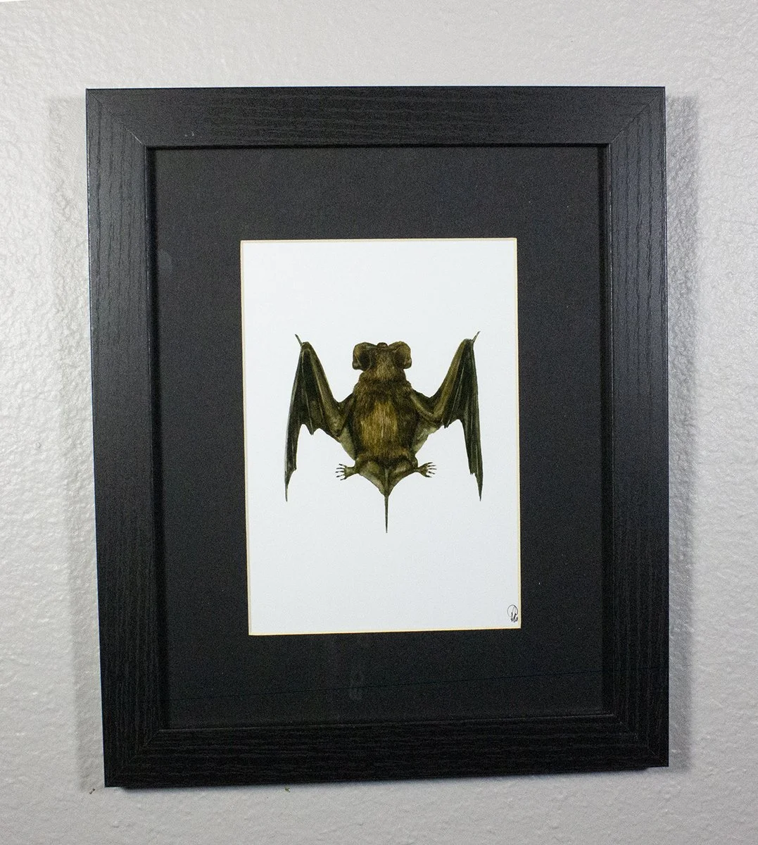 Framed insect paintings and art prints — Otterwell Studio
