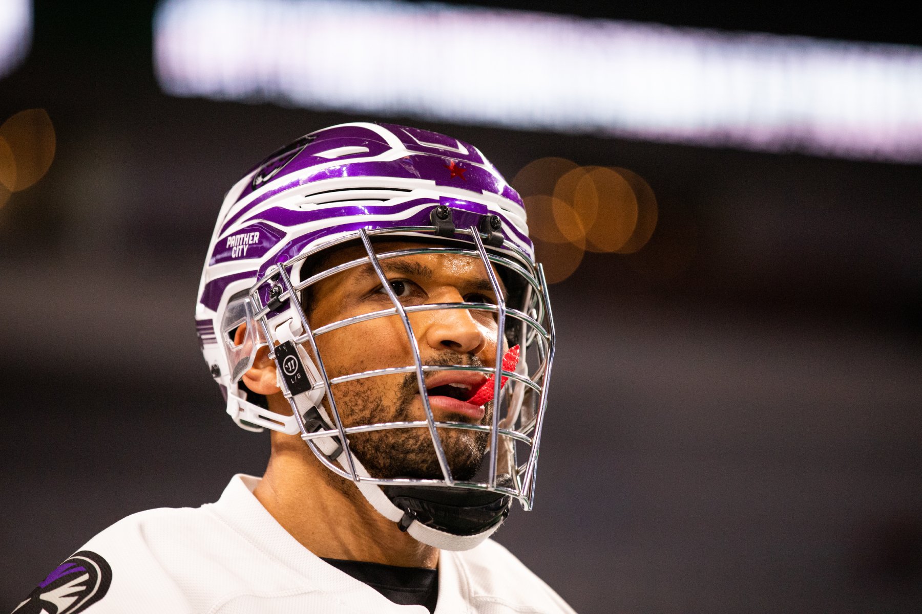 NLL free agency: What teams have done since the Desert Dogs Expansion ...