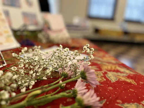 Donor Impact — API Chaya