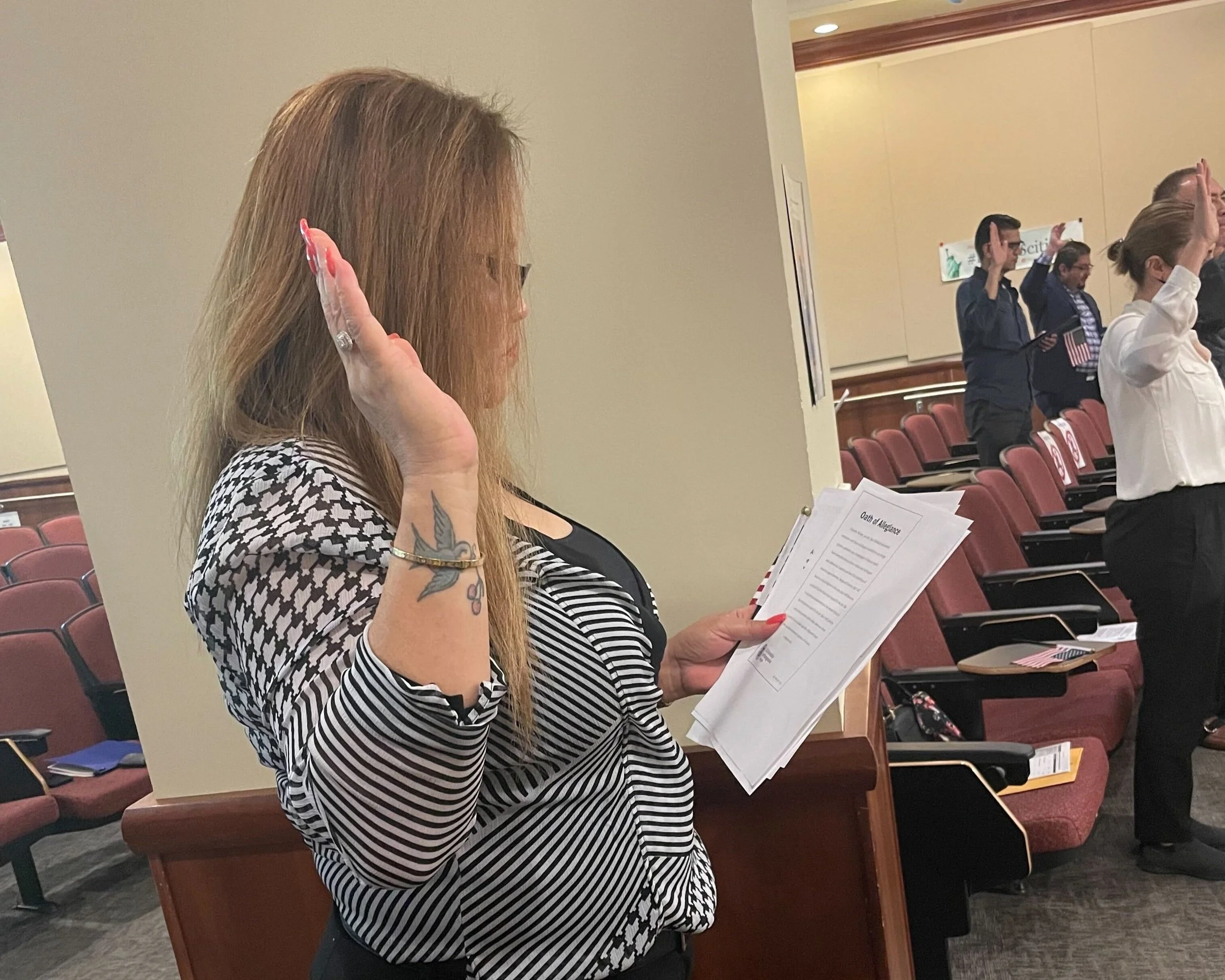 Mission, Vision, Values — API Chaya