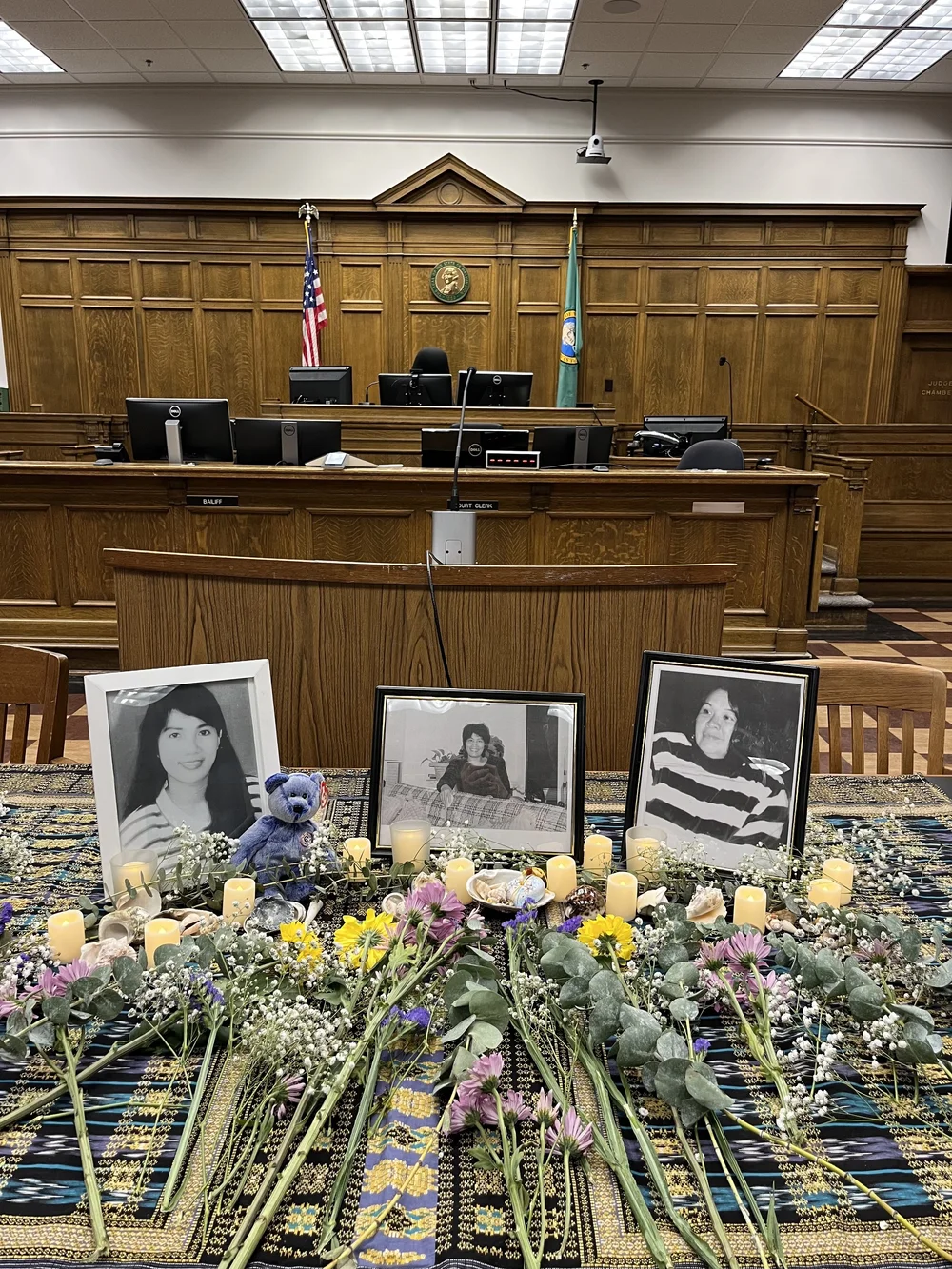 What We Do — API Chaya