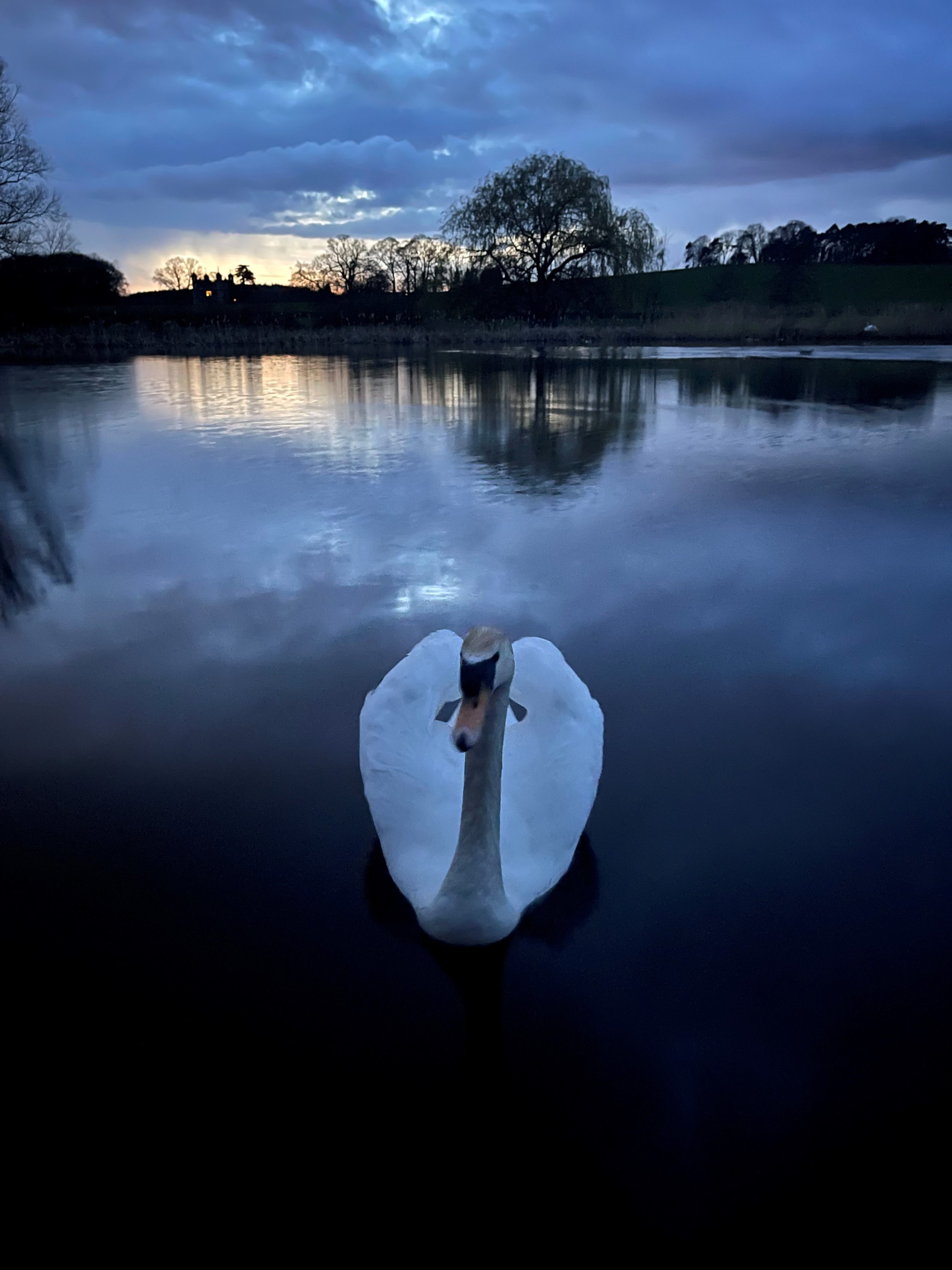 Stafford to Tixall — A Very Narrow Journey