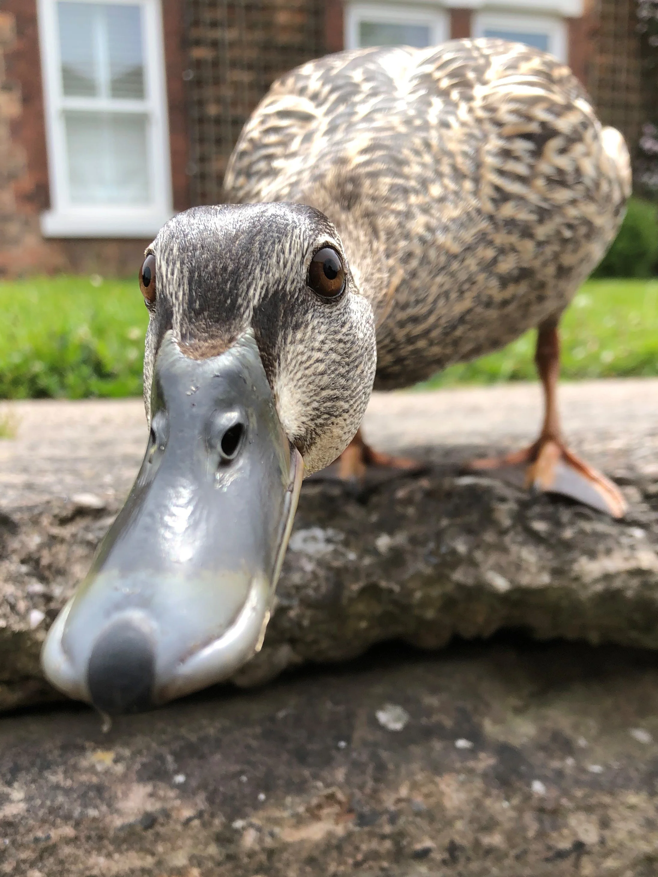 Swarkestone to Trent Lock — A Very Narrow Journey