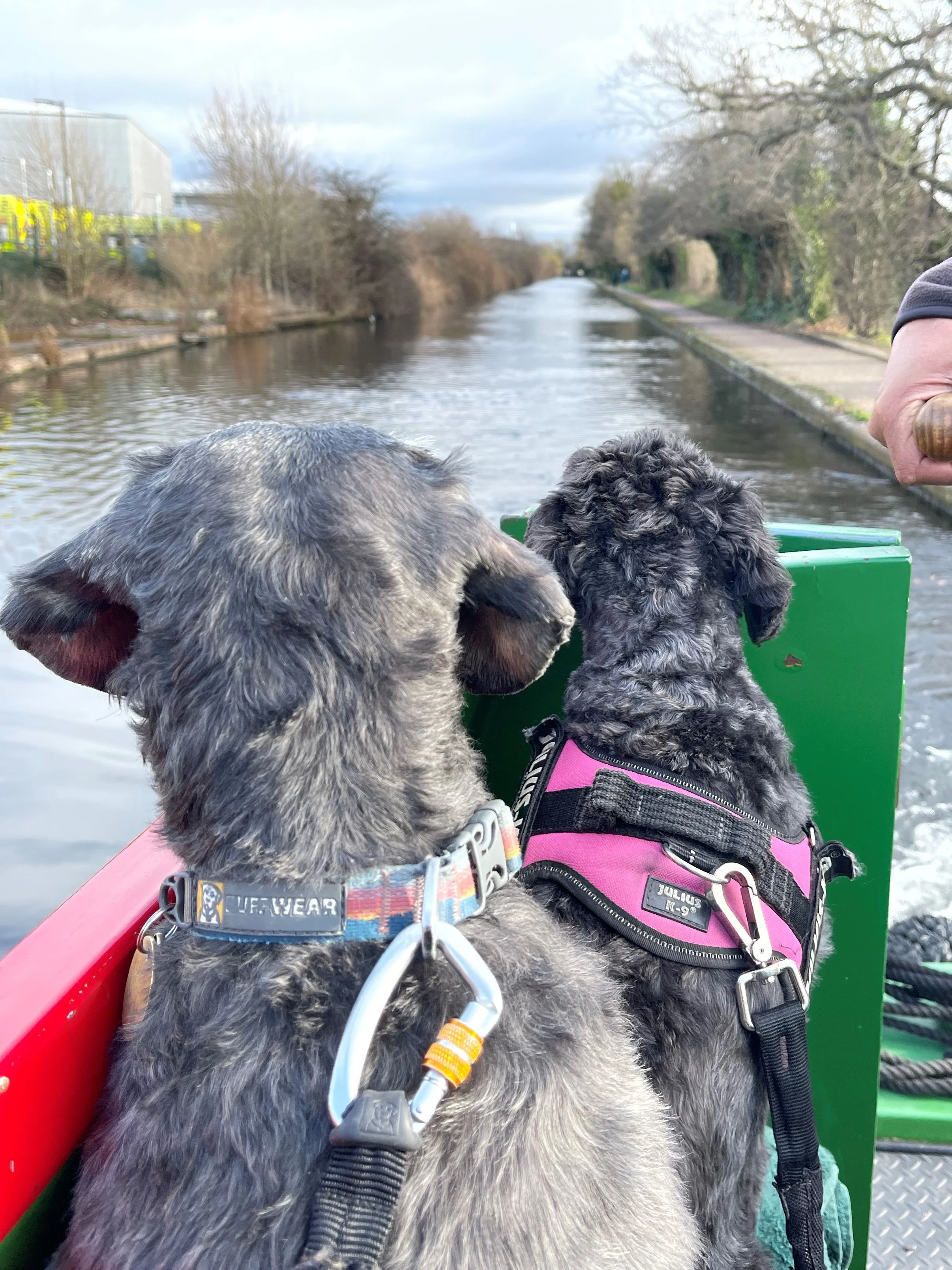 Minworth Locks — A Very Narrow Journey