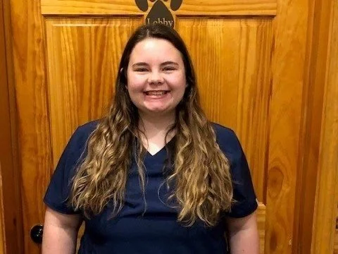 About — Three Springs Animal Hospital