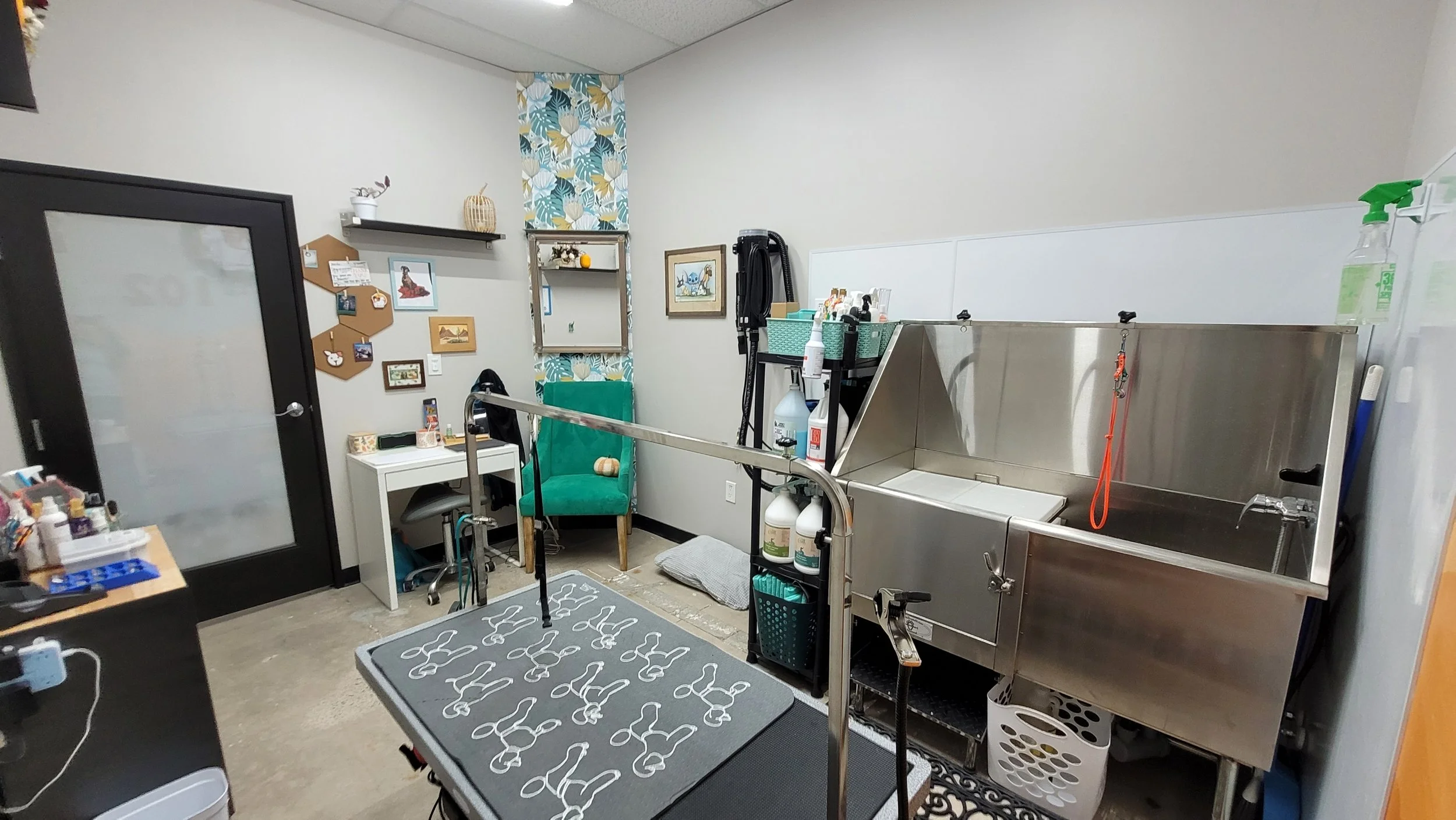 Oasis Pet grooming - Dog and Cat Grooming