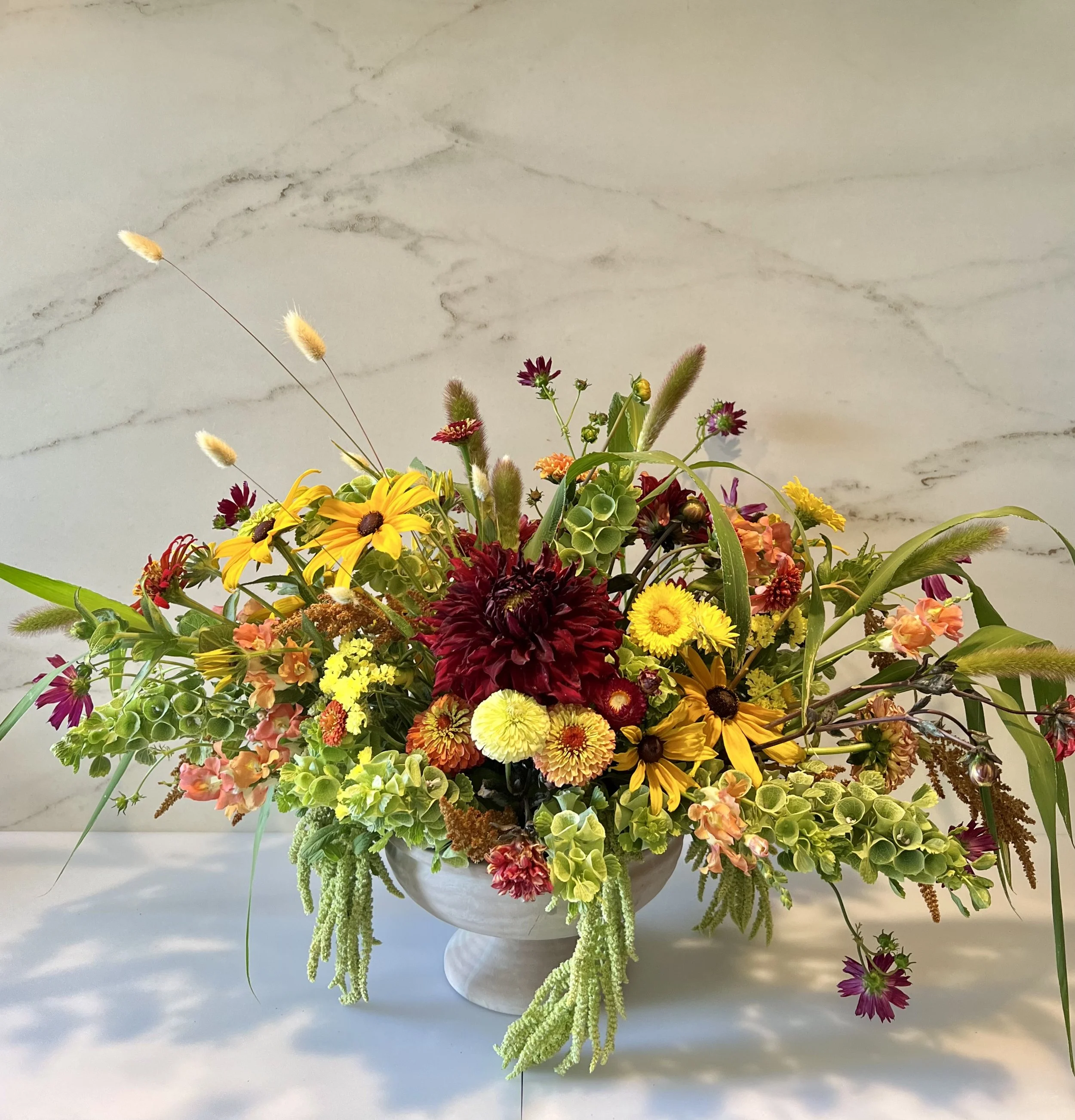 Daisies in May Flower Farm