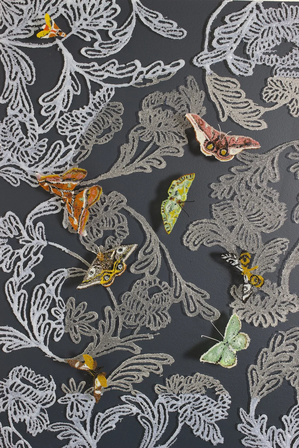 About — KATE CLEMENTS
