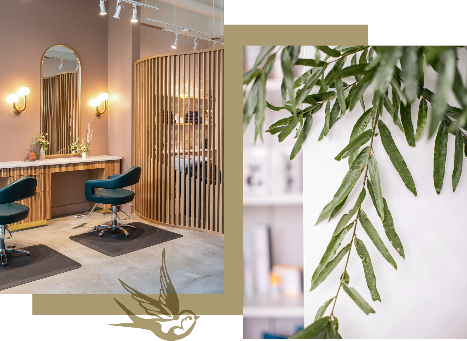 Aviary Beauty + Wellness