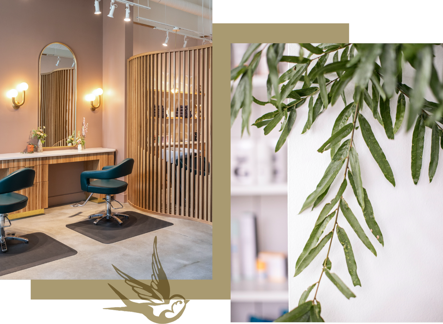 Boutique Skin and Hair Care Services | Aviary Beauty