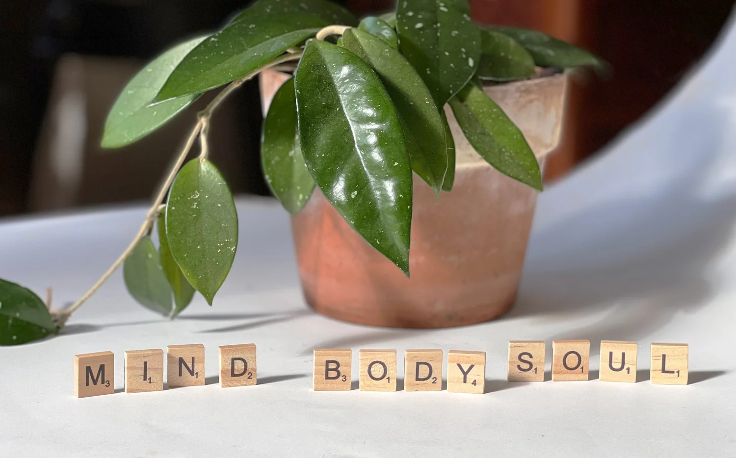 Services — Mind Body Soul Art Therapy and Counseling