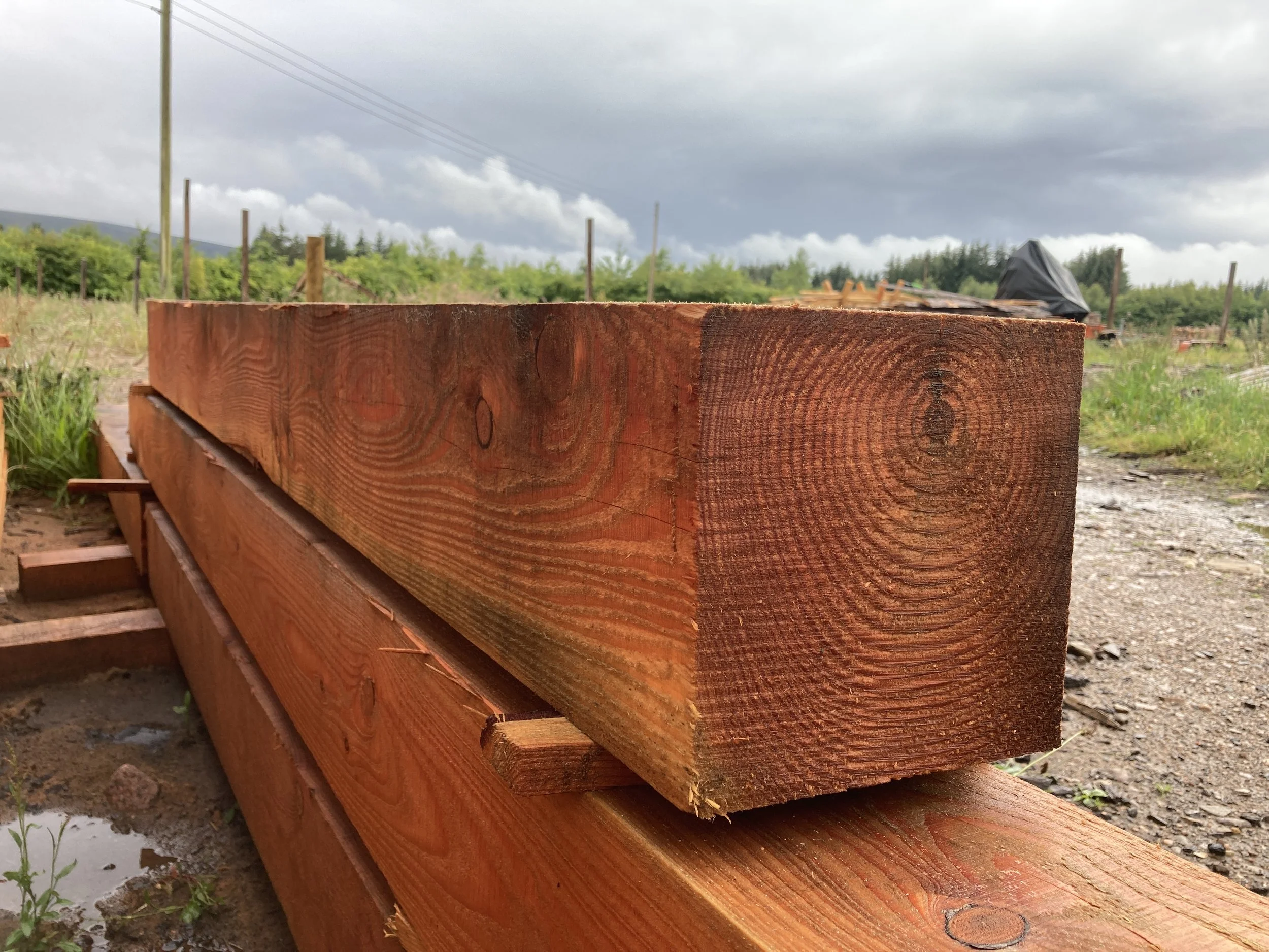 Scottish Larch and Douglas Fir posts — Moore Timber Co.