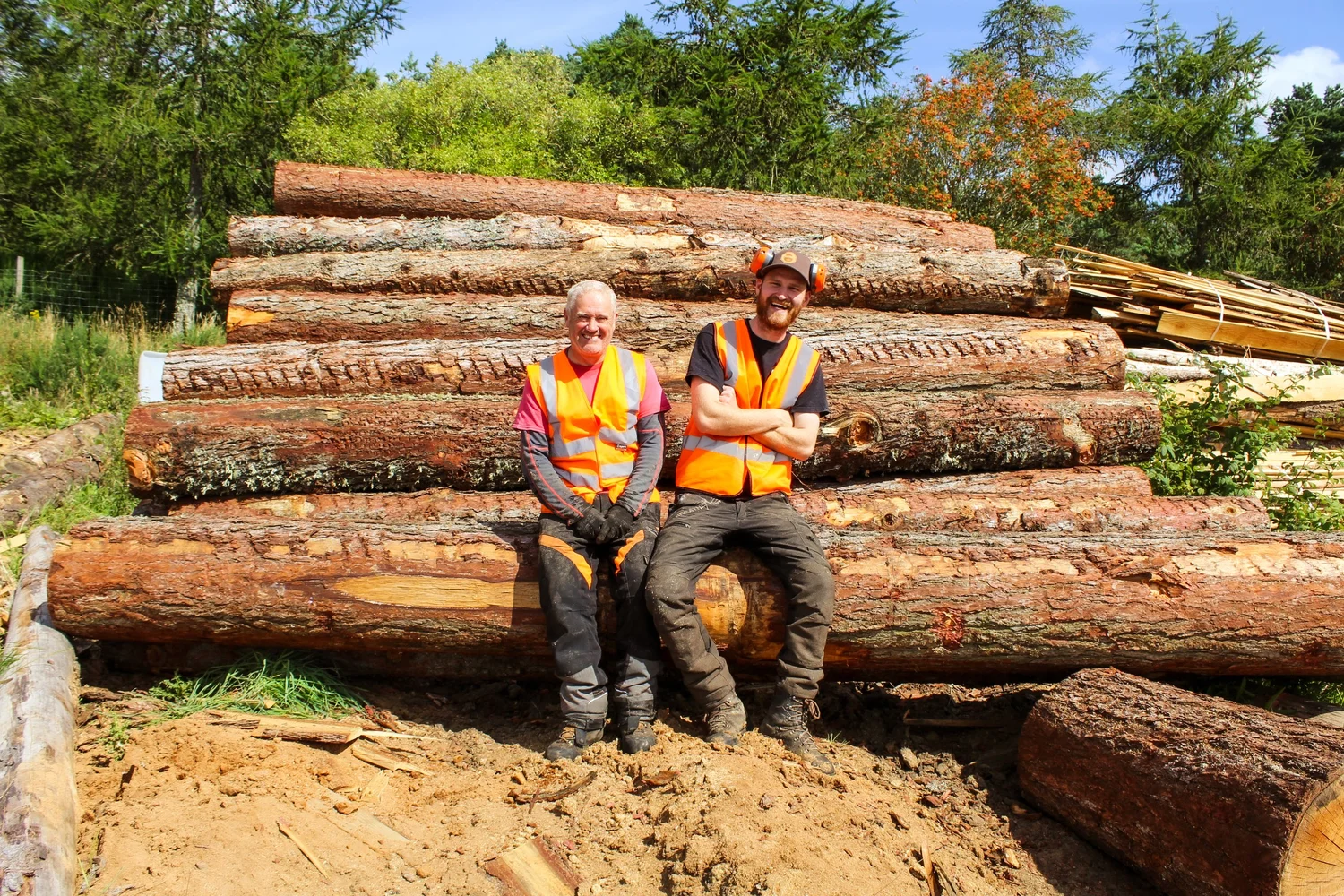 Scottish Timber Merchant | Moore Timber Co.