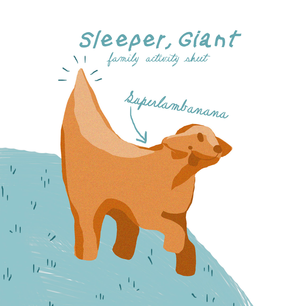 Activity Guides - MPND — Shauna Mckeon