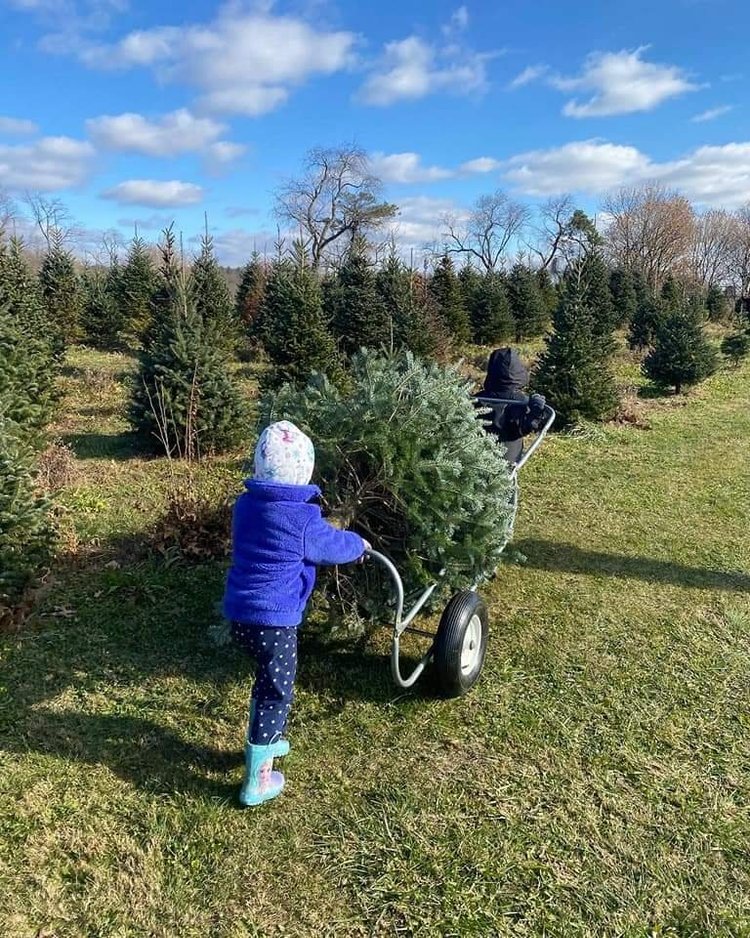 Holiday Retail Pricing — Showers Tree Farm