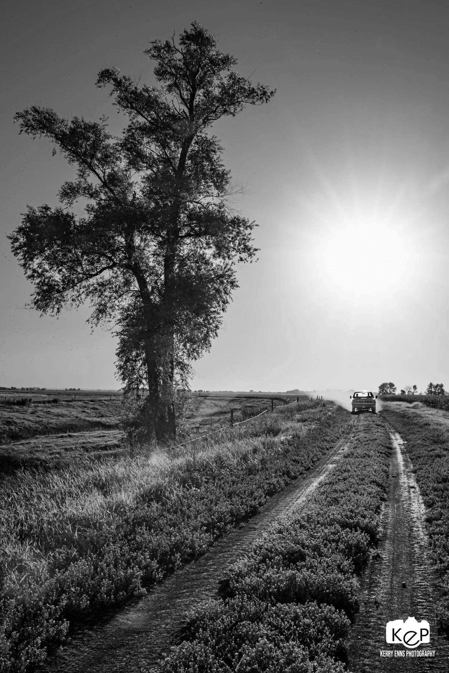 Kerry Enns Photography Blog — Kerry Enns Photography
