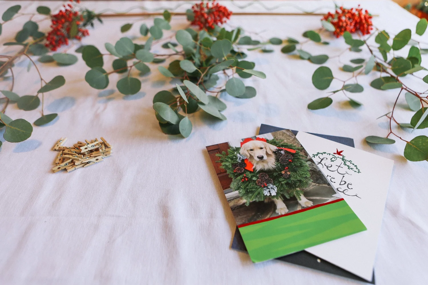 Organize & Display Holiday Cards