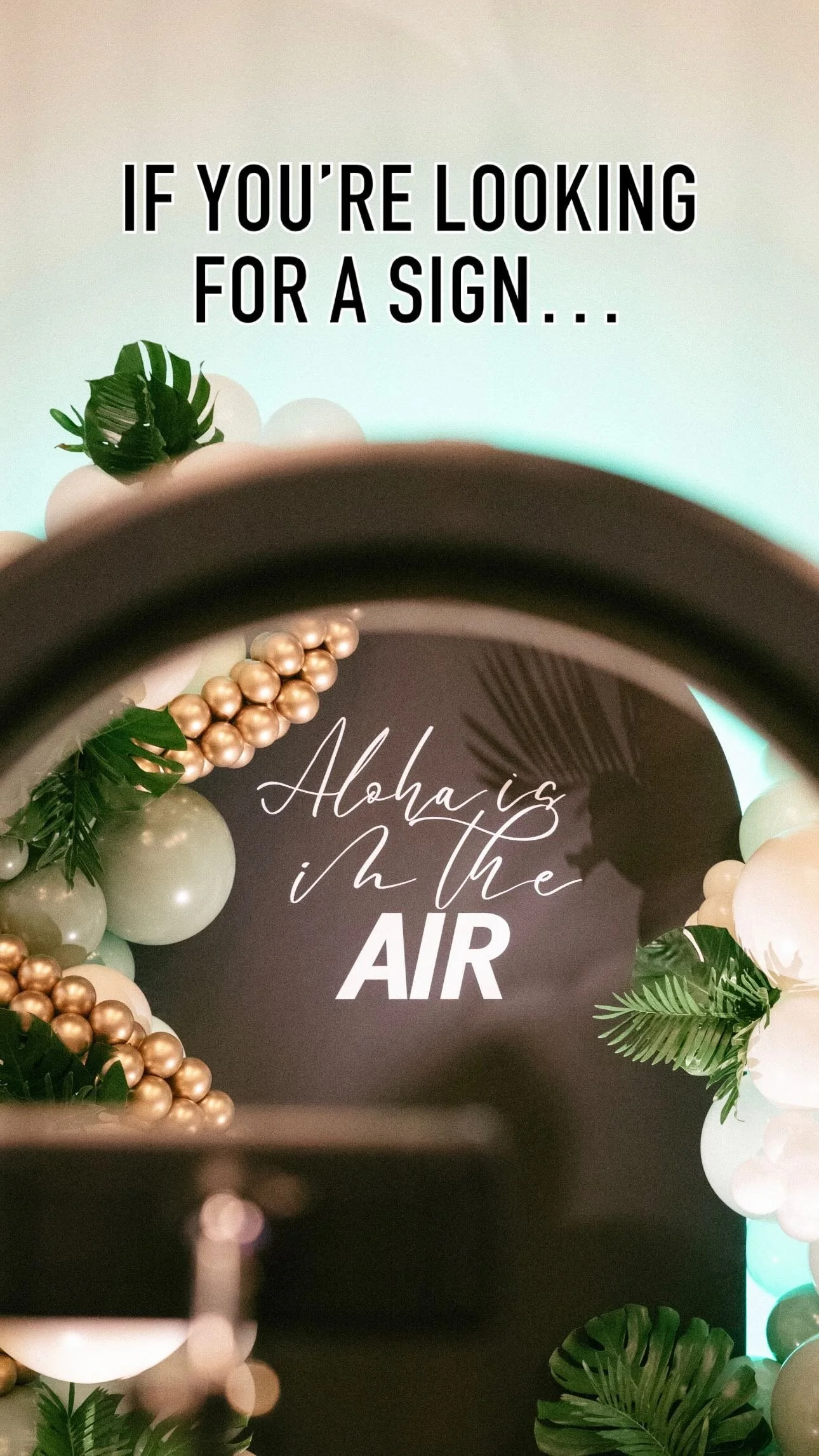 Bubble Social Balloons