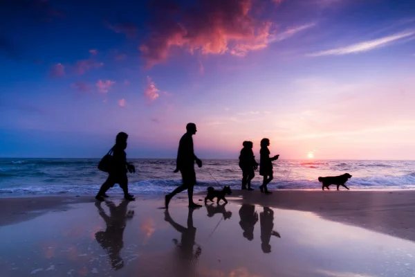 Botanitech : Medicinal Cannabis