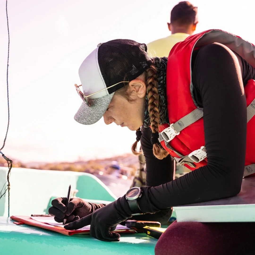 10 Exciting Careers in Marine Science (Beyond Marine Biology) — Kaimana ...