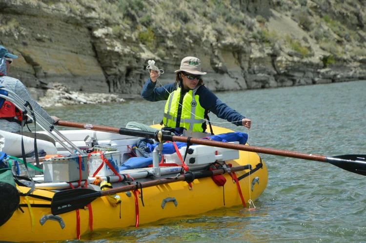 10 Exciting Careers in Marine Science (Beyond Marine Biology) — Kaimana ...