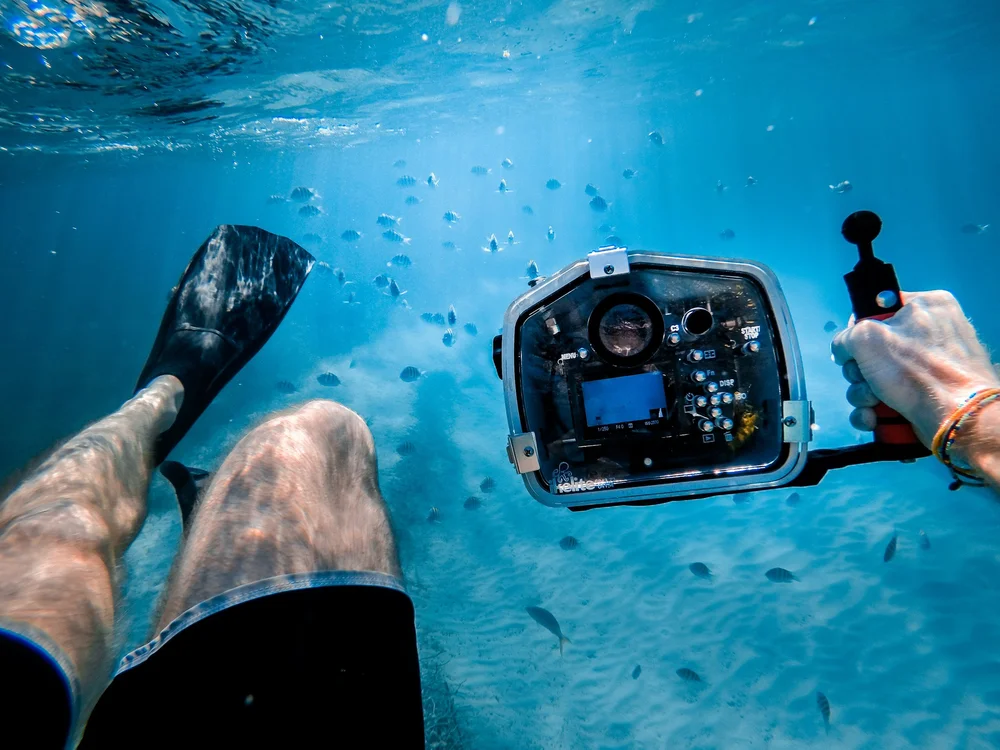 22 Dream Jobs for Ocean Lovers that Don’t Require a Science Background ...