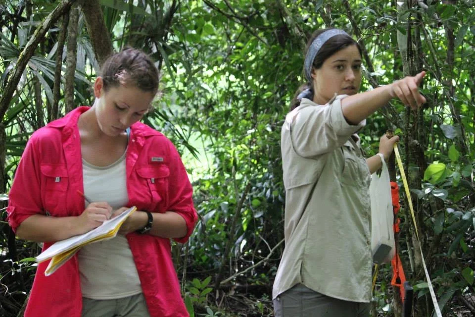How I Became a Marine Biologist Living in Hawai'i — Kaimana Conservation