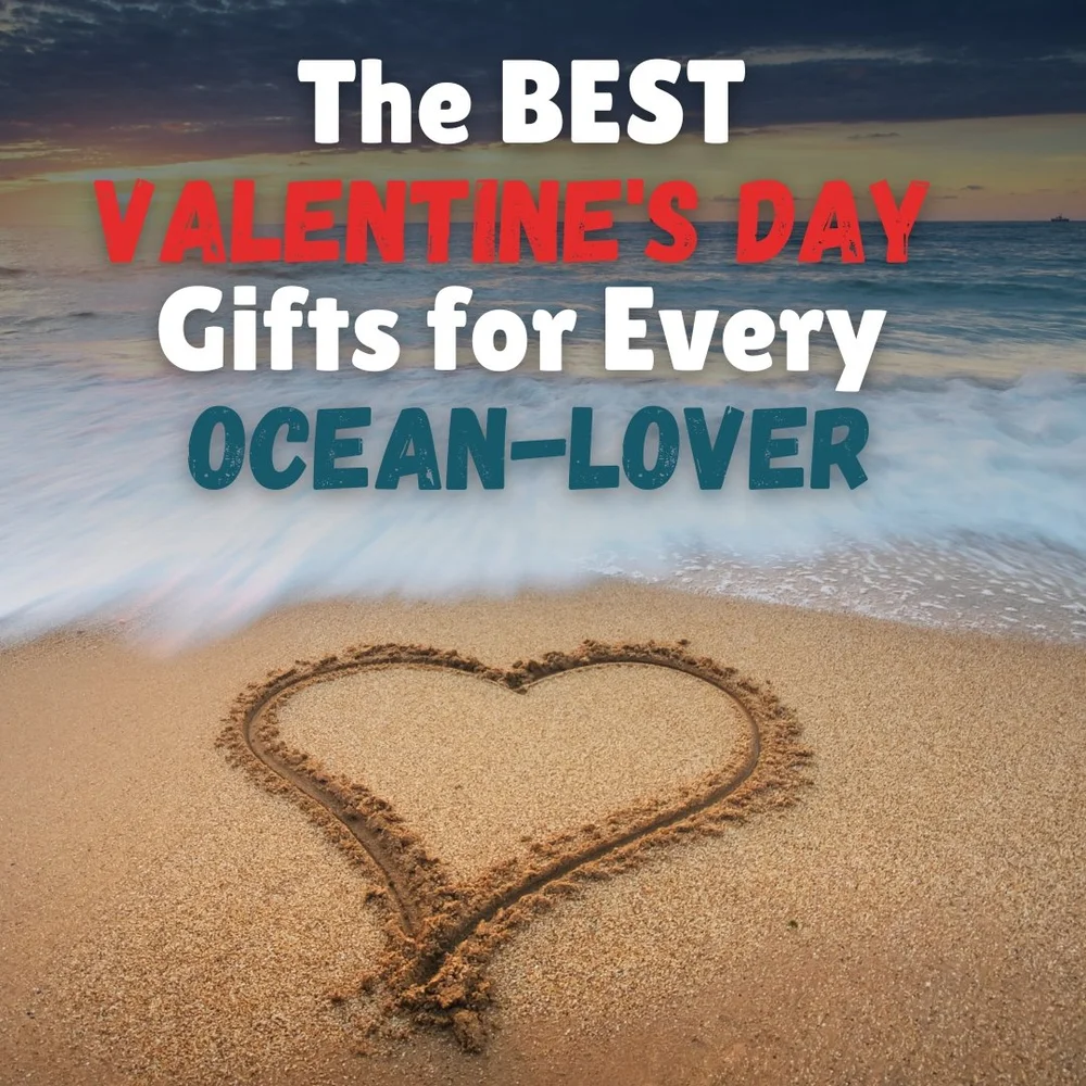 The Best Valentine's Day Gifts for Every Ocean-Lover — Kaimana Conservation